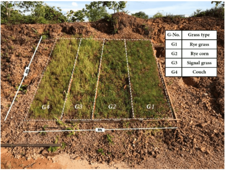 Erosion Control Measures in Singapore: A Comprehensive Guide by ...